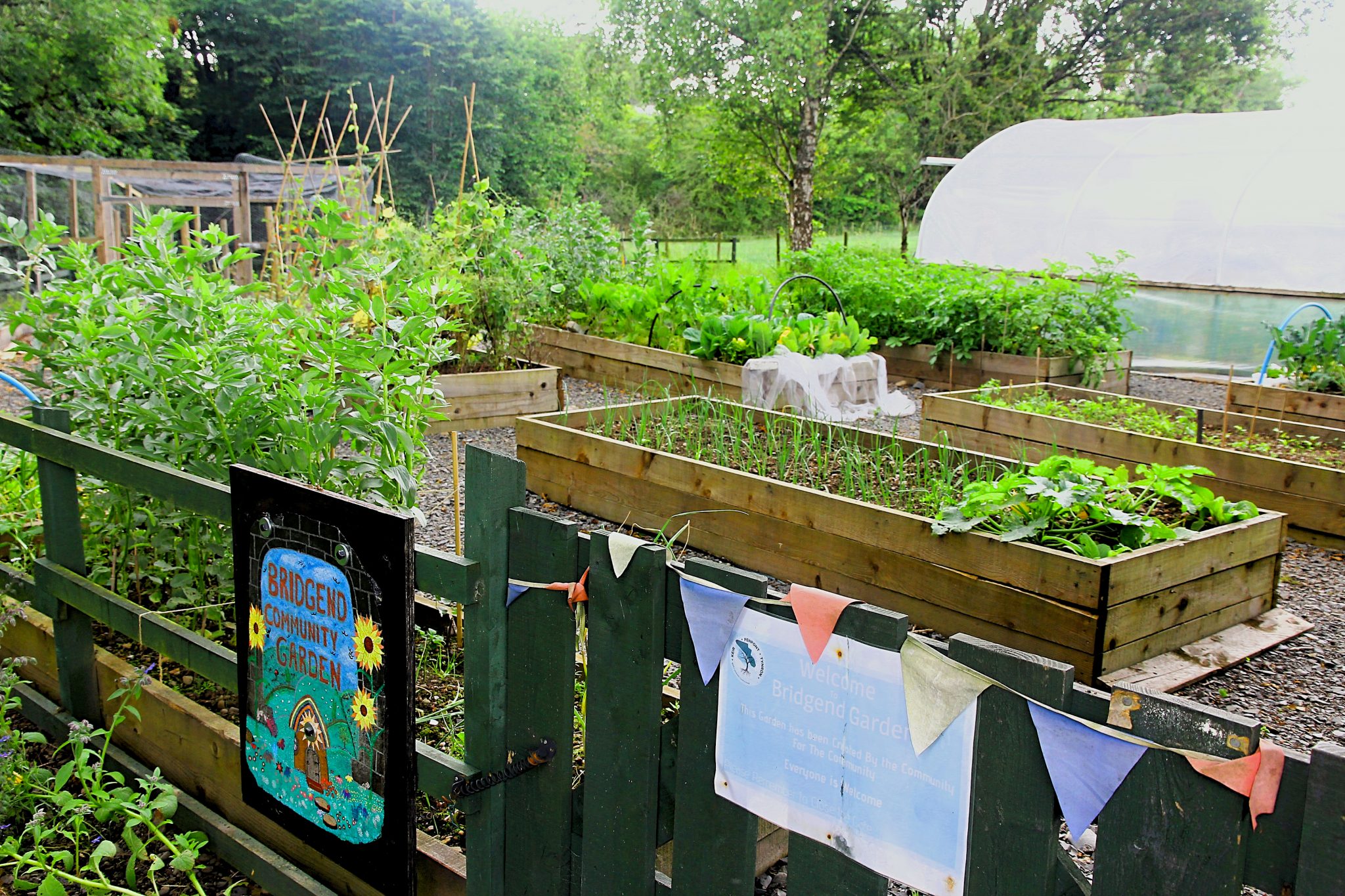 Projects – KPT Development Trust